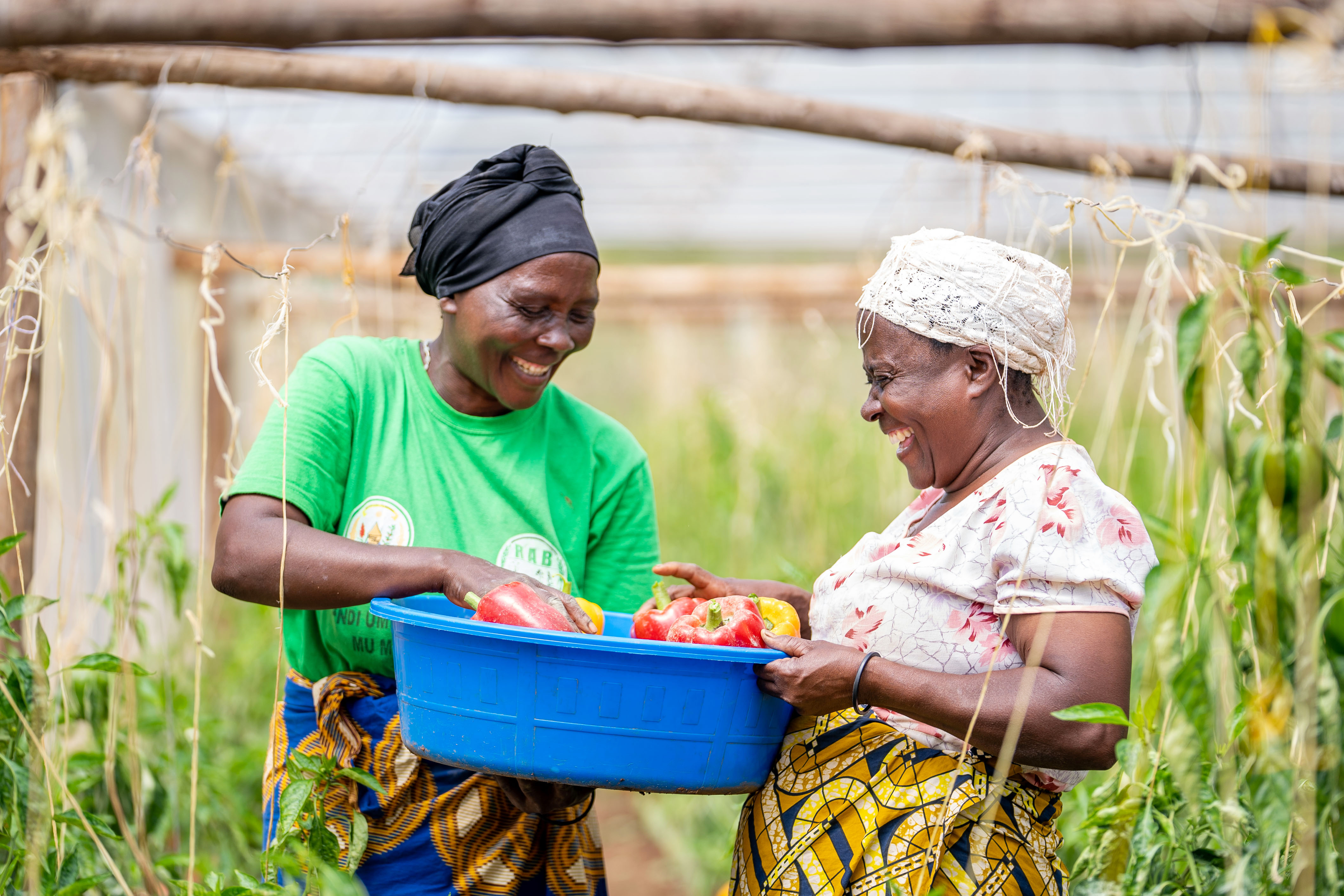 All Gifts Triple Matched! | Partners In Health